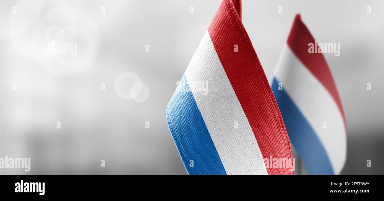 Small national flags of the Netherlands on a light blurry background ...