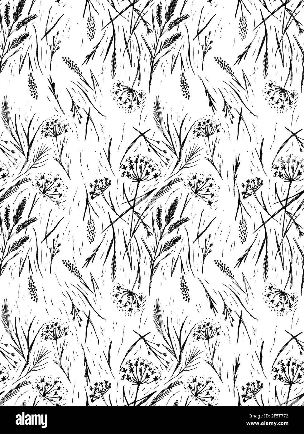 Wild grasses seamless pattern. Grass silhouettes, cereal plants, hand ...
