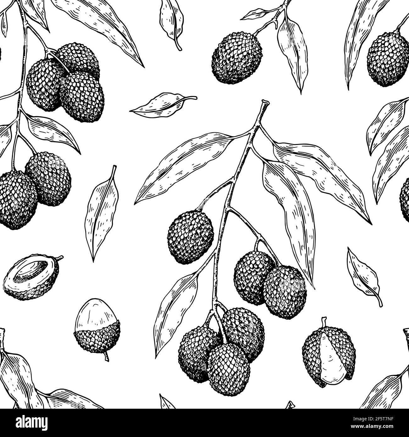Hand drawn lychee fruit seamless pattern. Vector illustration in ...