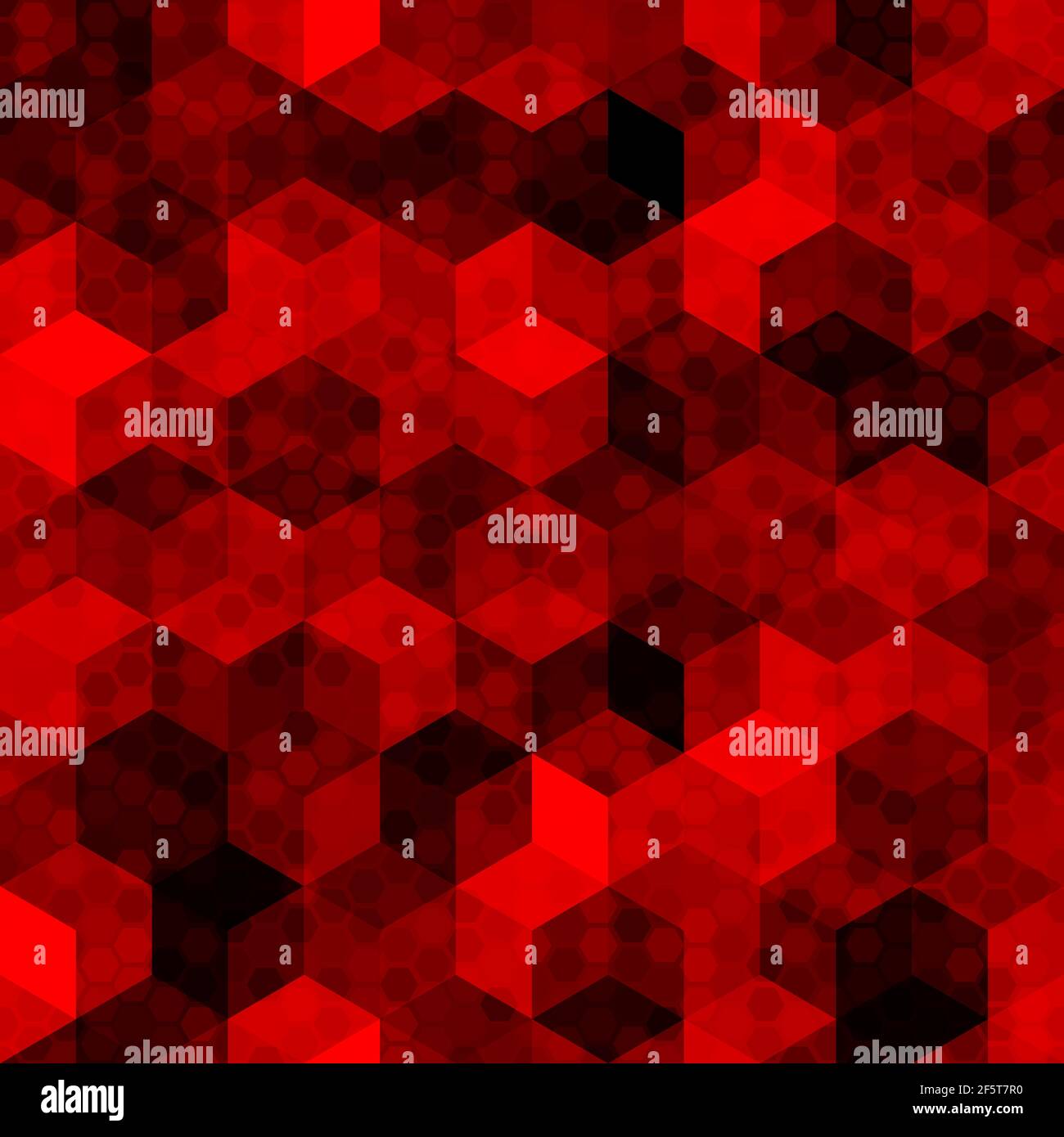 Scarlet gem hi-res stock photography and images - Alamy