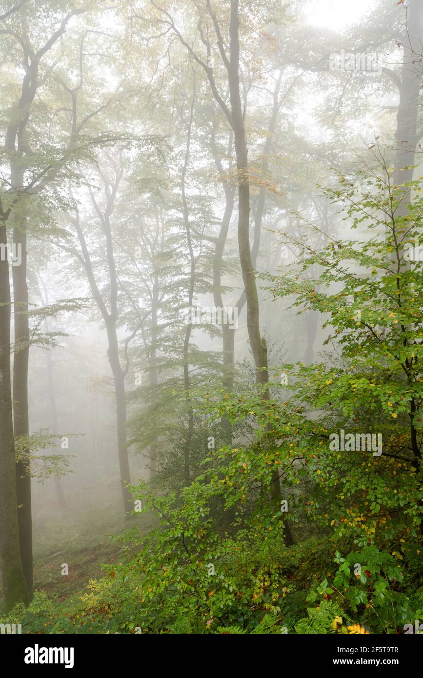 Luxembourg camping hi-res stock photography and images - Alamy