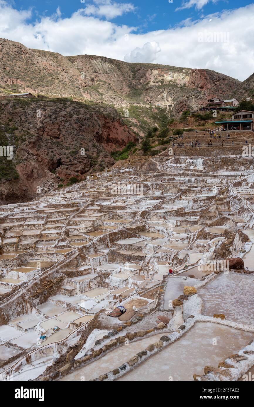 The Maras salt field, located near Urubamba in the holy Valley, existed ...