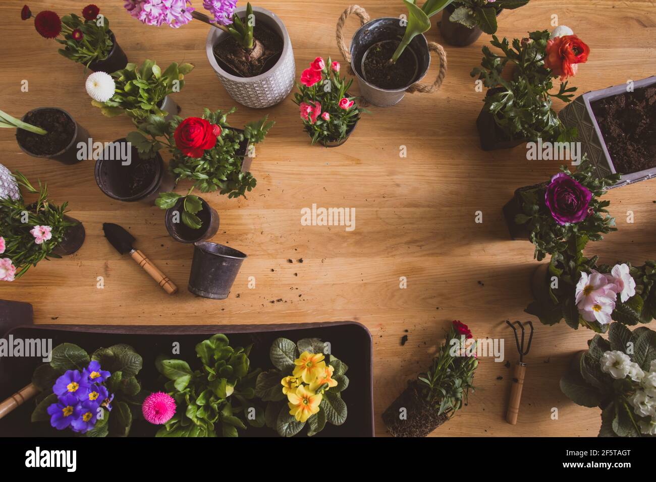 Preparation of flowers for decomposition on the balcony Stock Photo - Alamy