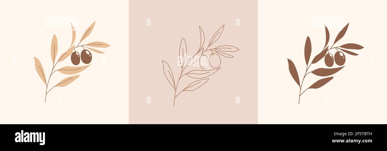 Set of modern abstract aesthetic olive branch Stock Vector Image & Art ...