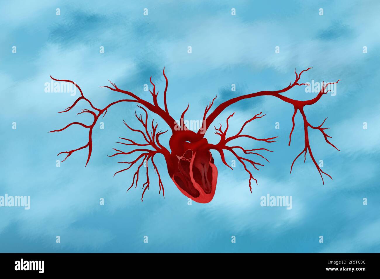 Artistic style, realistic painted heart and vessels on a blue ...