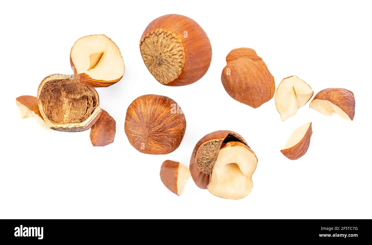 Flying Hazelnuts isolated on white background. Hazelnut colection macro ...