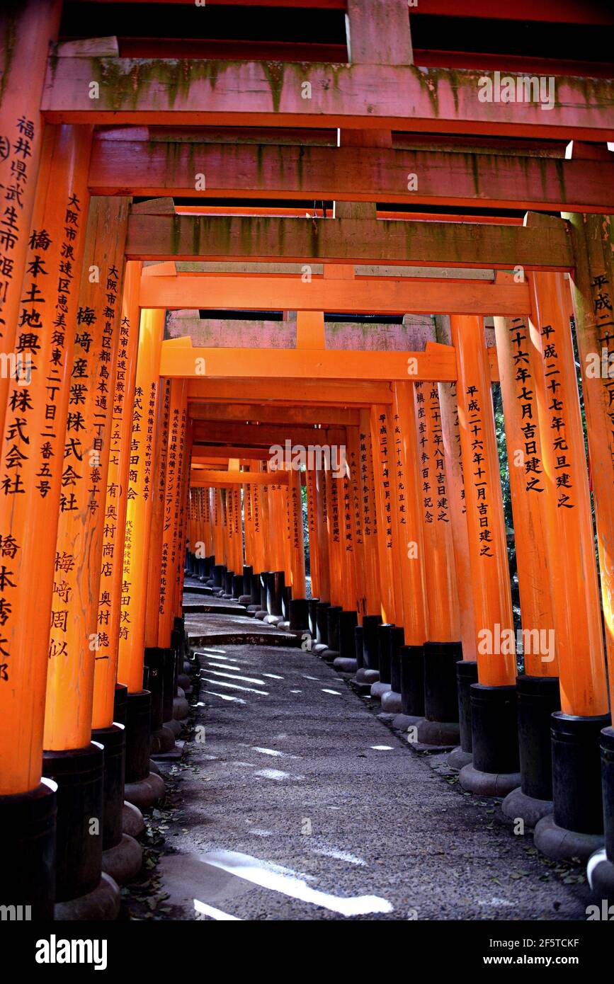Fushimi Inari Taisha is the main shrine dedicated to kami Inari, The ...