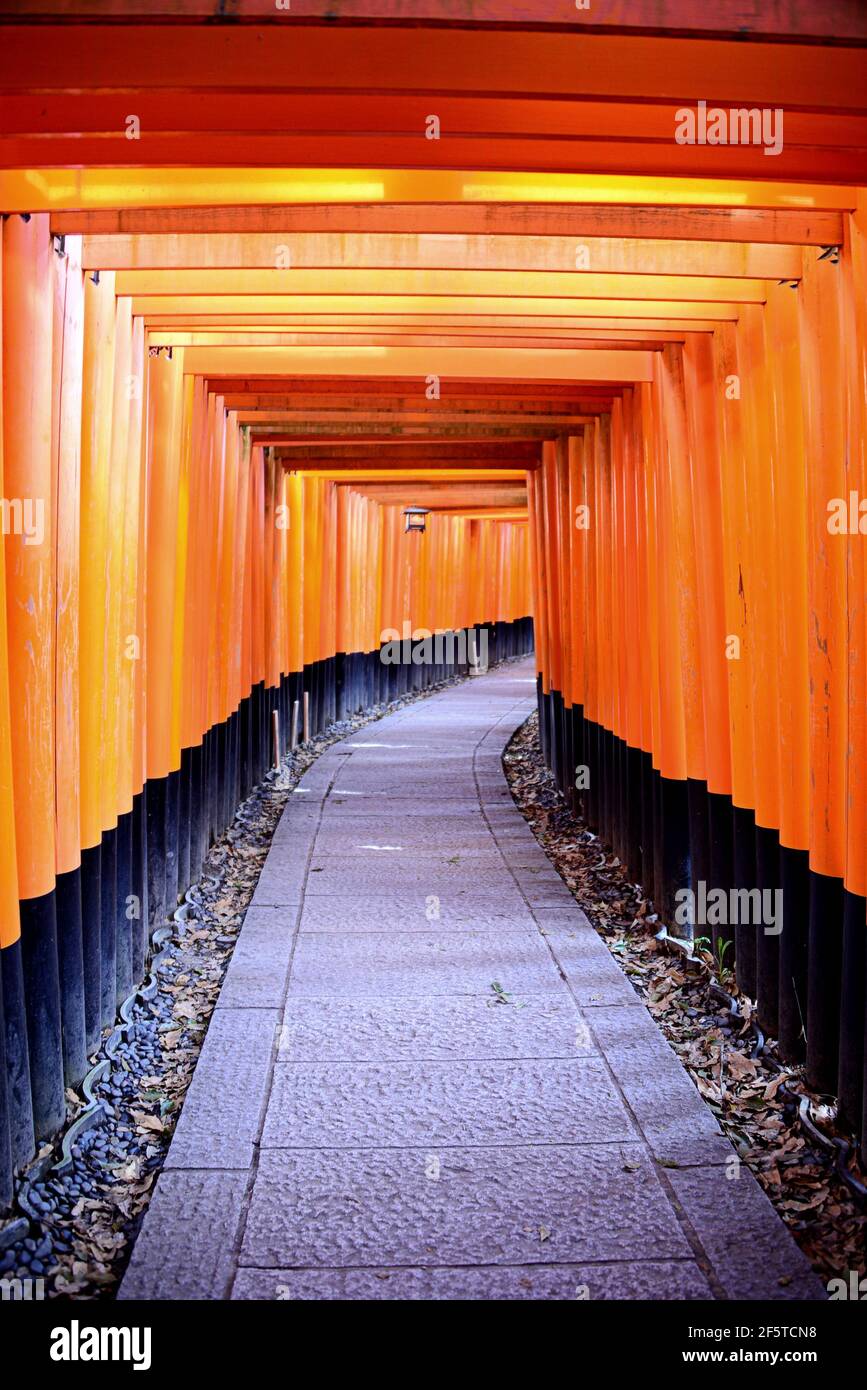 Fushimi Inari Taisha is the main shrine dedicated to kami Inari, The ...