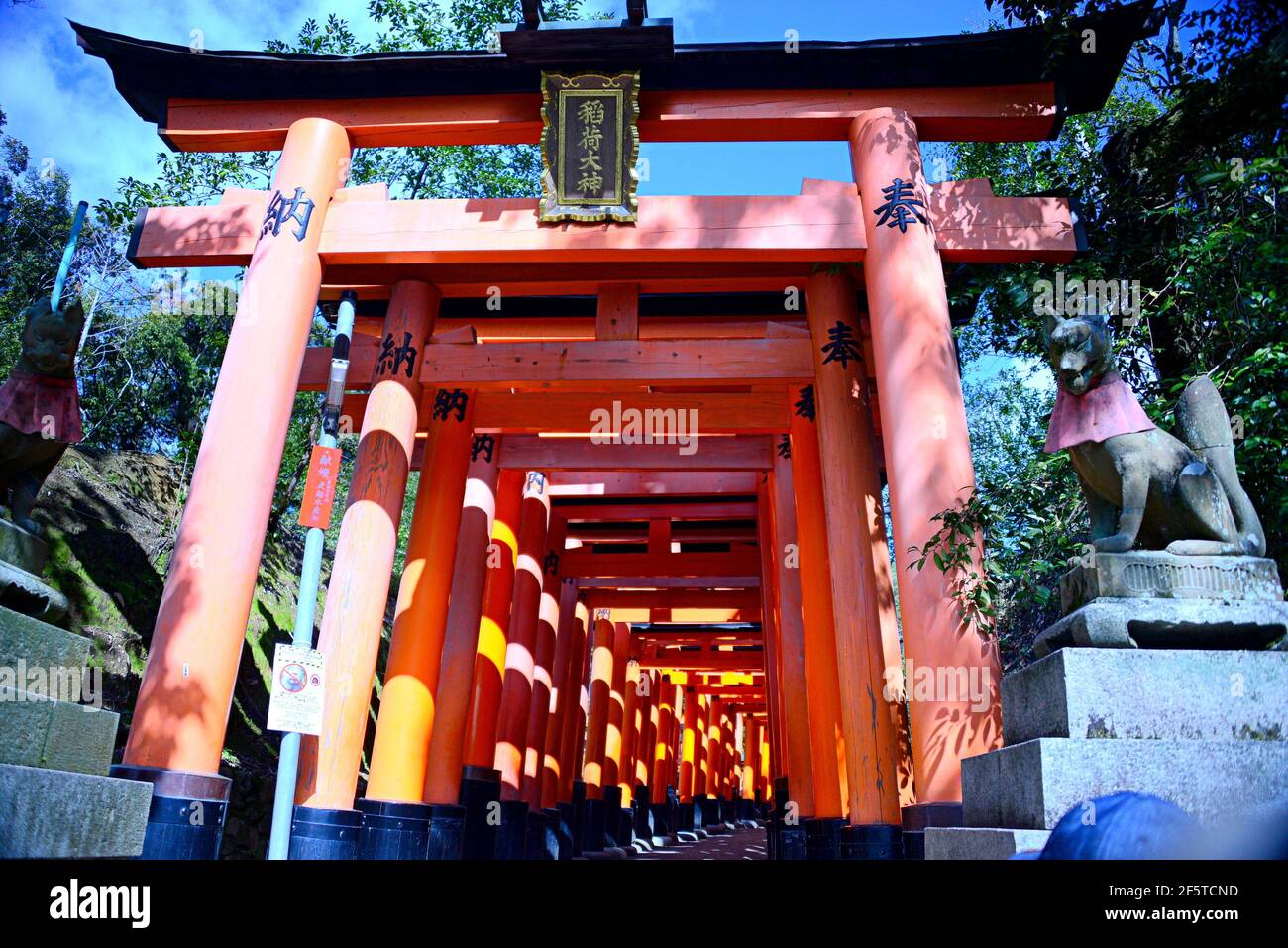 Fushimi Inari Taisha is the main shrine dedicated to kami Inari, The ...