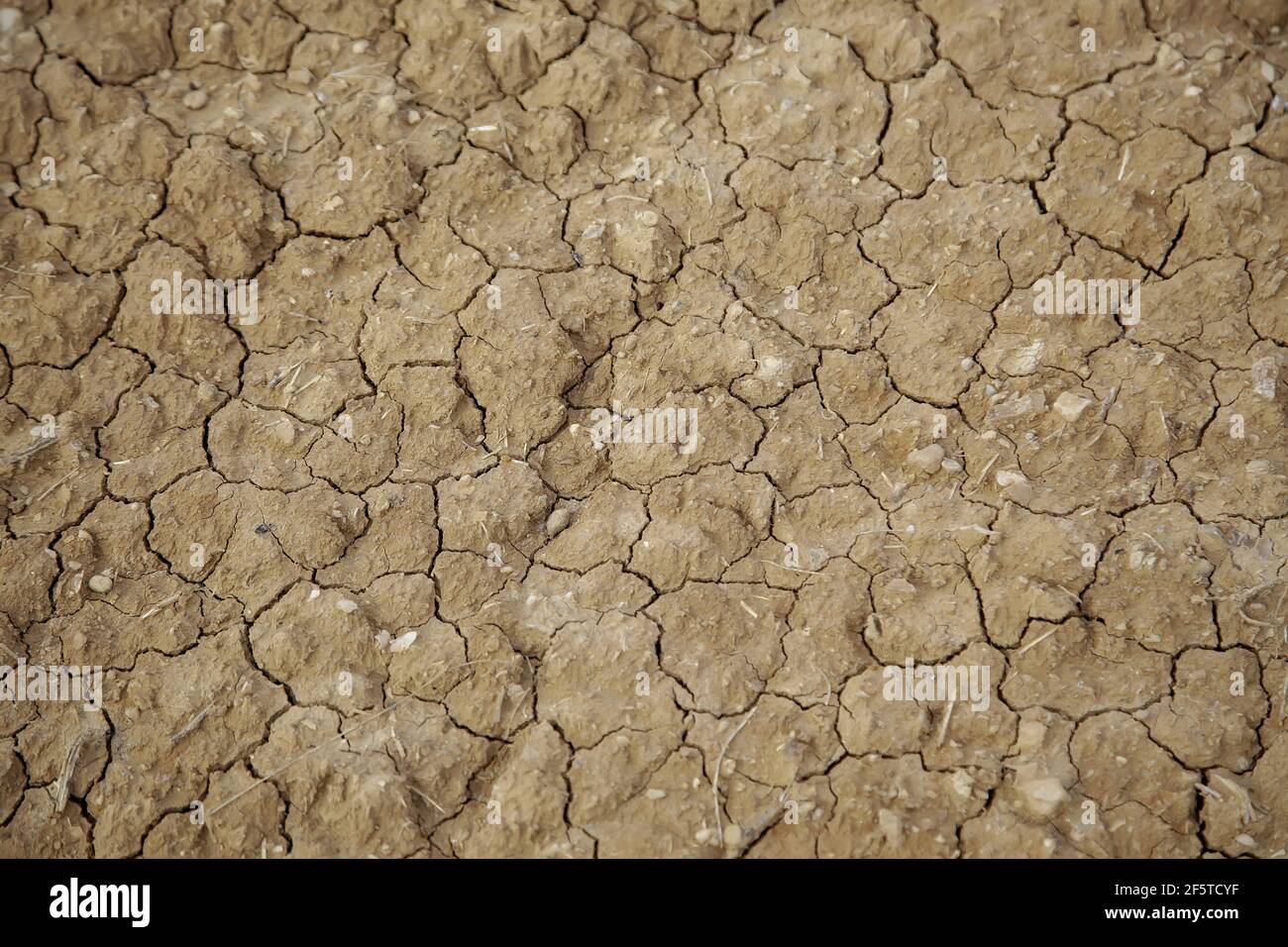 Detail of drought and climate change, desolation and destruction Stock ...