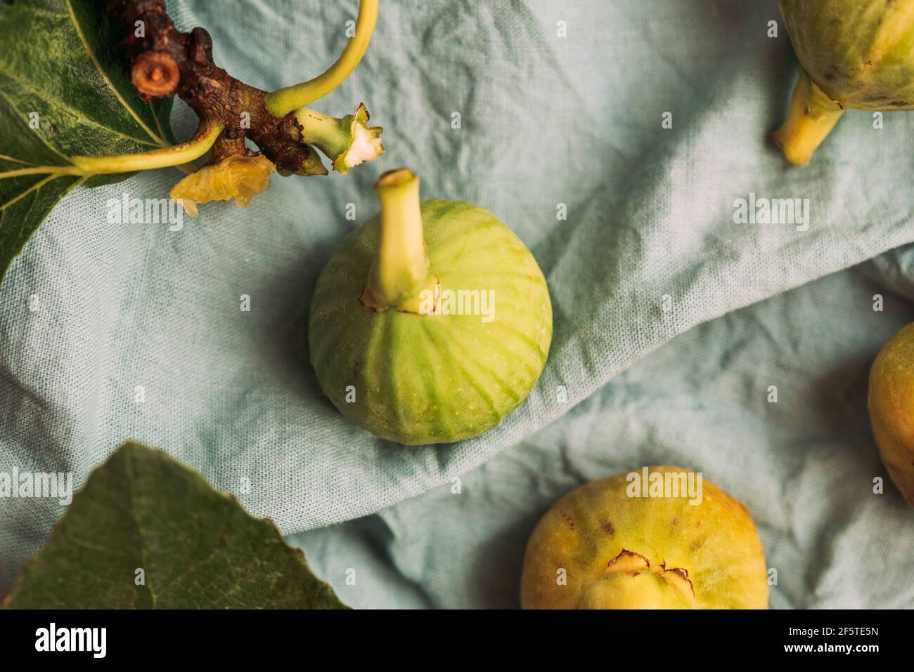 Ripe sweet green figs, freshly harvested from a domestic tree, on the ...