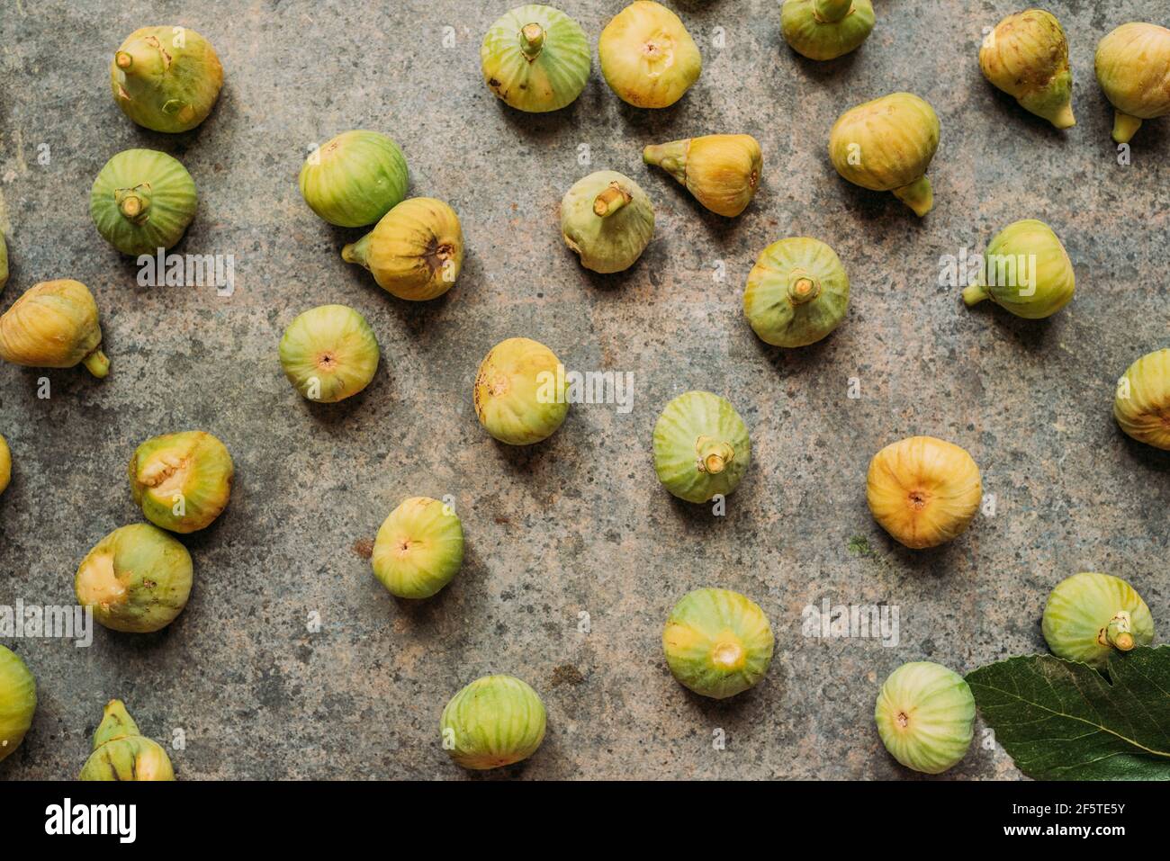 Ripe sweet green figs, freshly harvested from domestic tree, on grunge ...