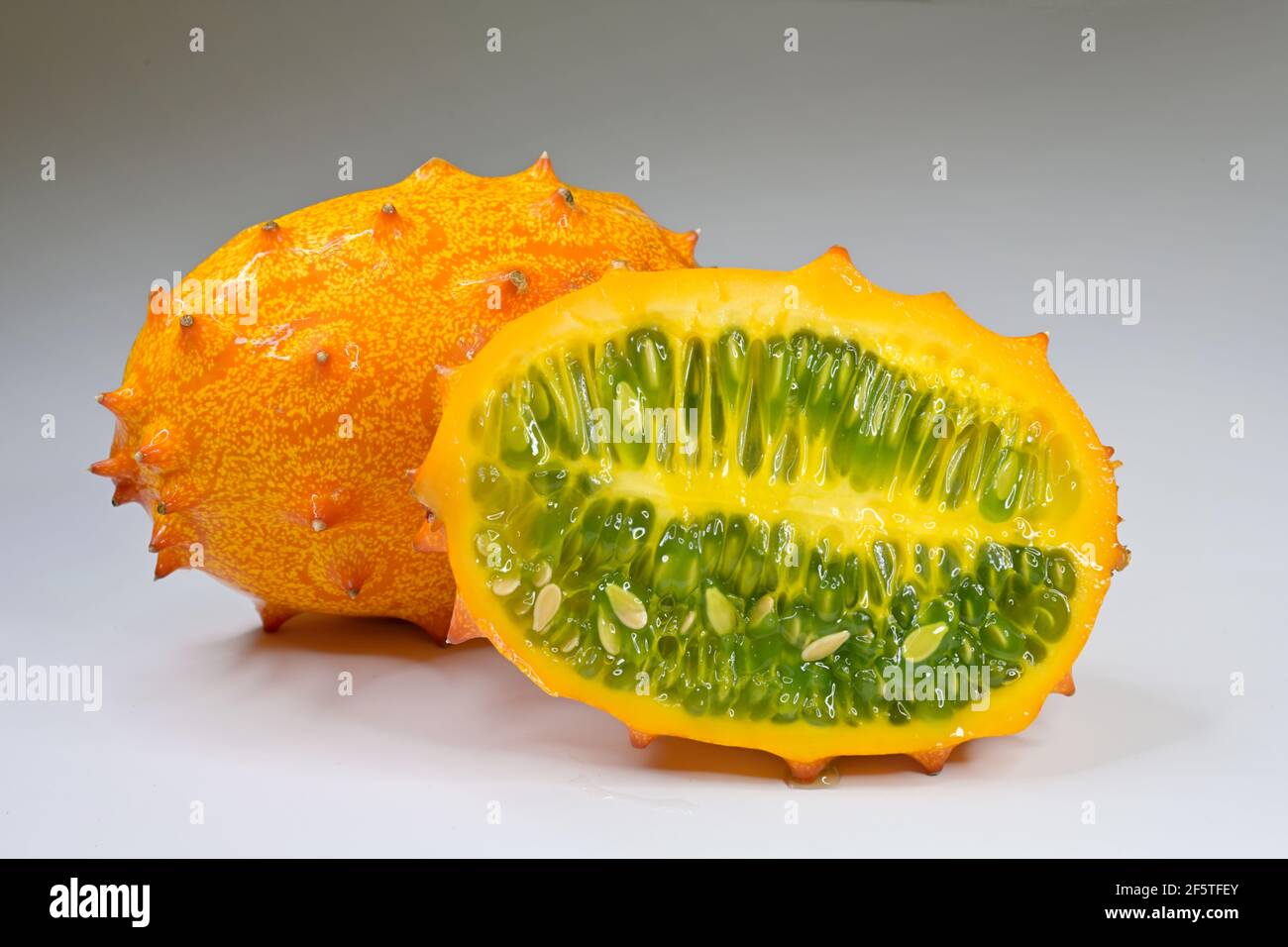Cuke a saurus hi-res stock photography and images - Alamy