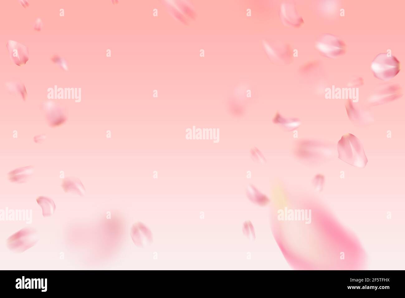Falling pink flower petals isolated on pink gradient background. Sakura ...