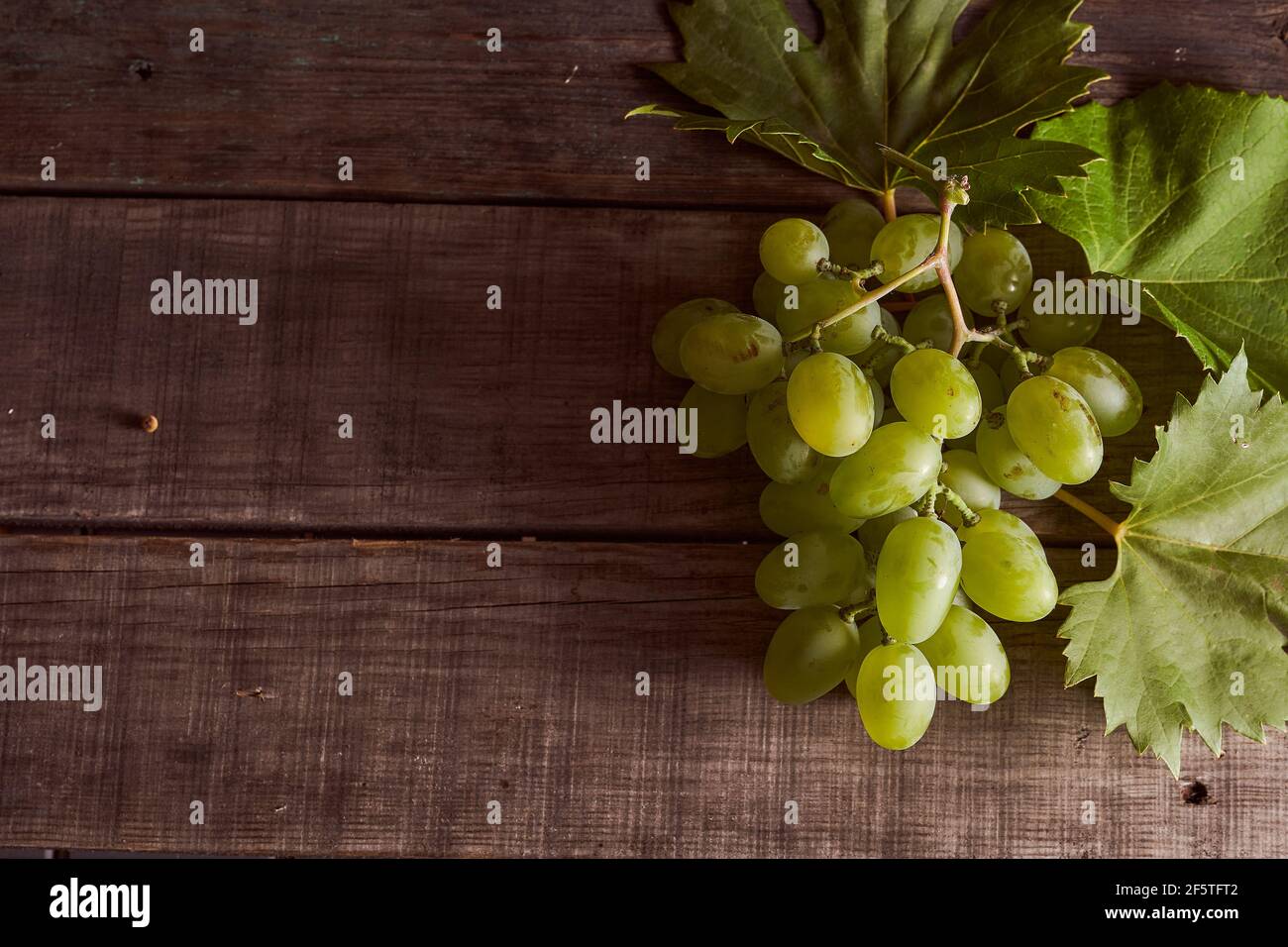 Blue table grape vine variety hi-res stock photography and images - Alamy