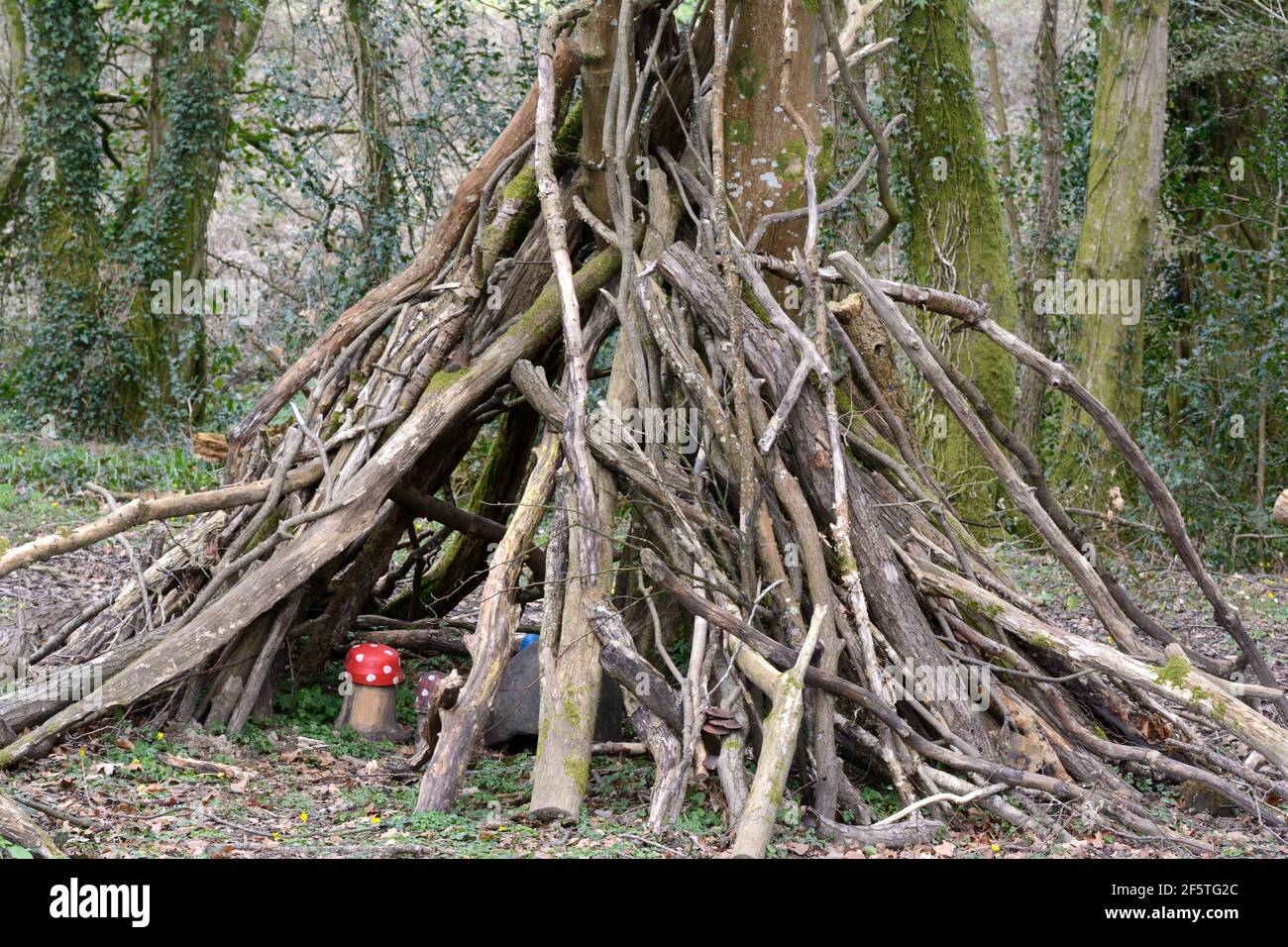 Hut made of branches hi-res stock photography and images - Alamy