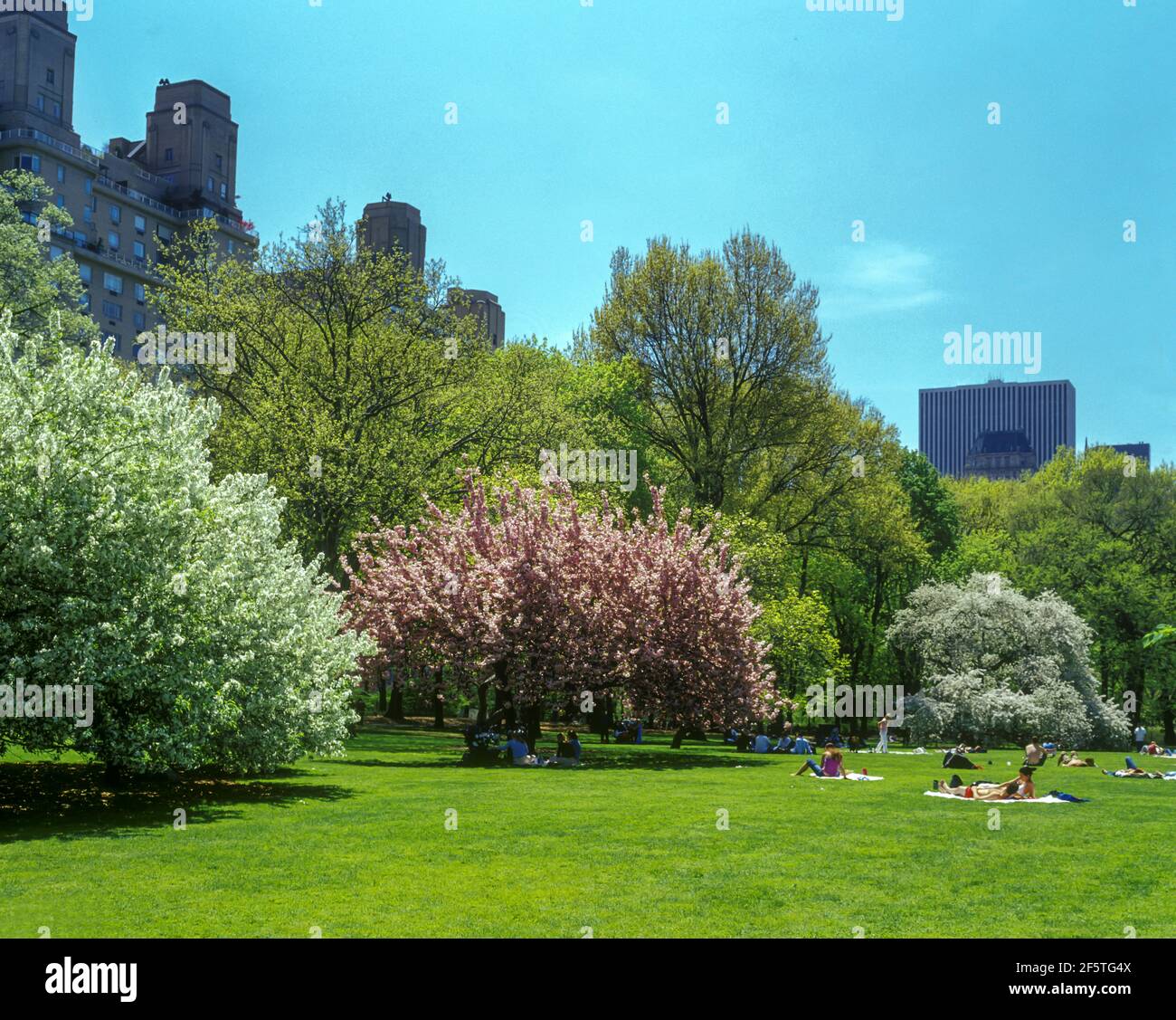 Historical sunbathers hi-res stock photography and images - Alamy