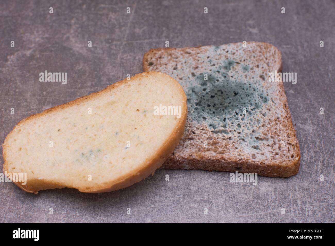 poor-quality bread quickly became moldy. dangerous mushrooms grow on ...