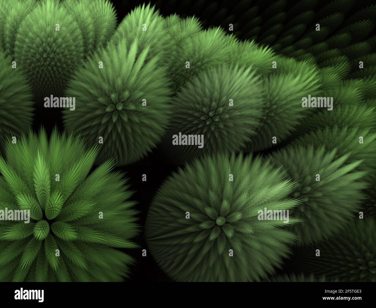 Colorful and dynamic feathered fractal spikes (computer generated ...