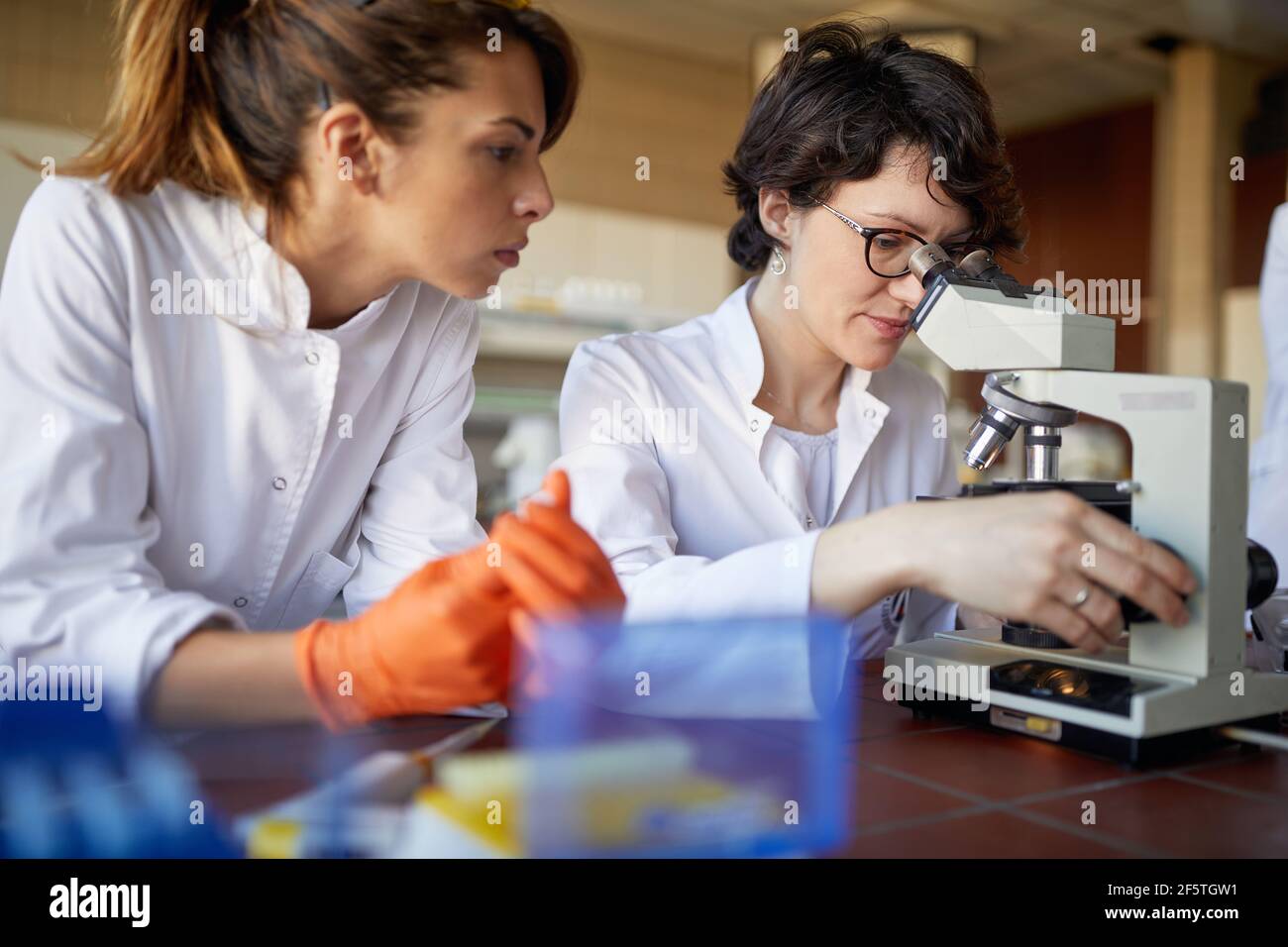 Young female colleagues work at the microscope in a working atmosphere ...