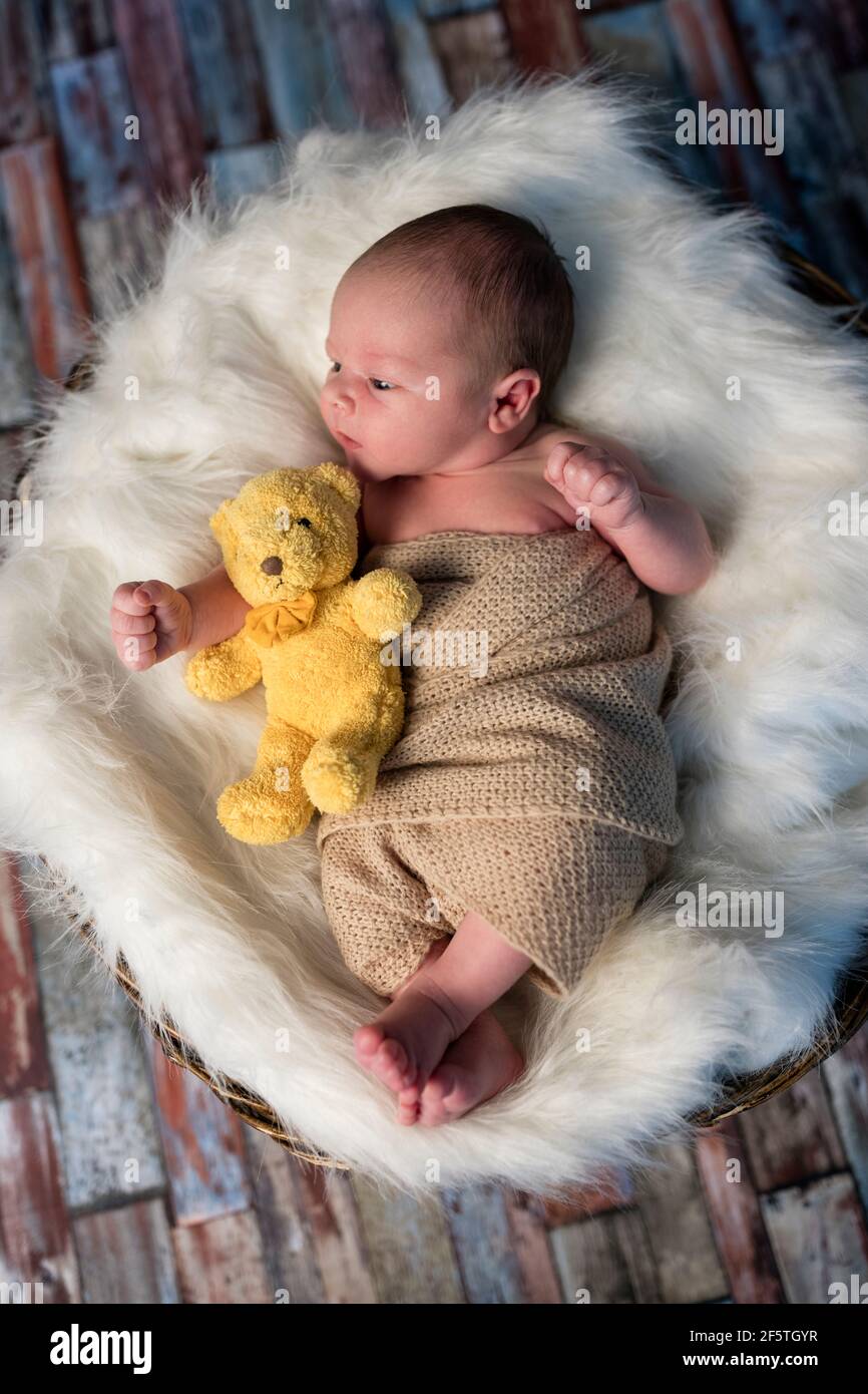 Little baby, newborn boy sleeping with teddy beer Stock Photo - Alamy