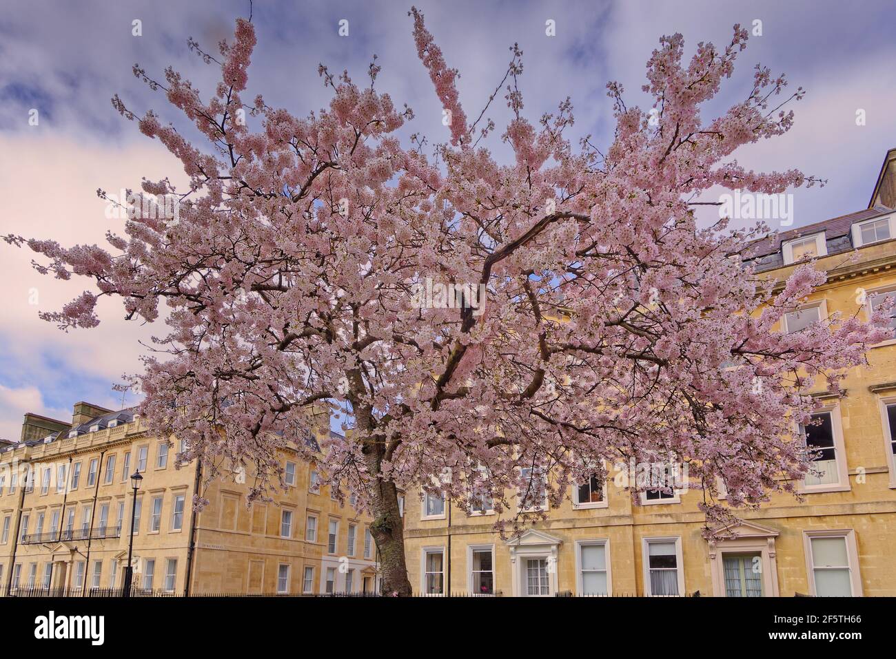 Bath in Spring Stock Photo - Alamy
