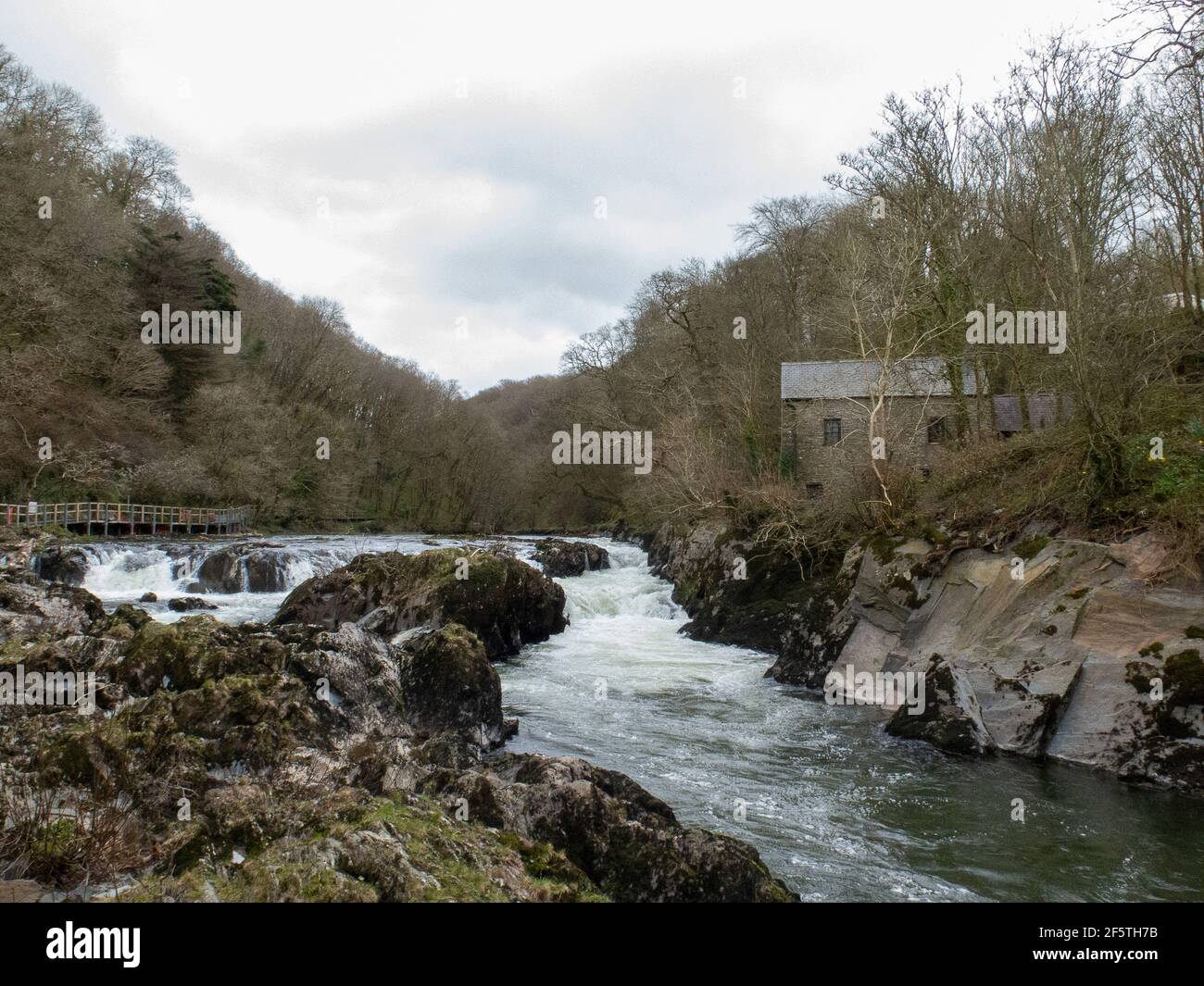 Cenarth Falls High Resolution Stock Photography and Images - Alamy