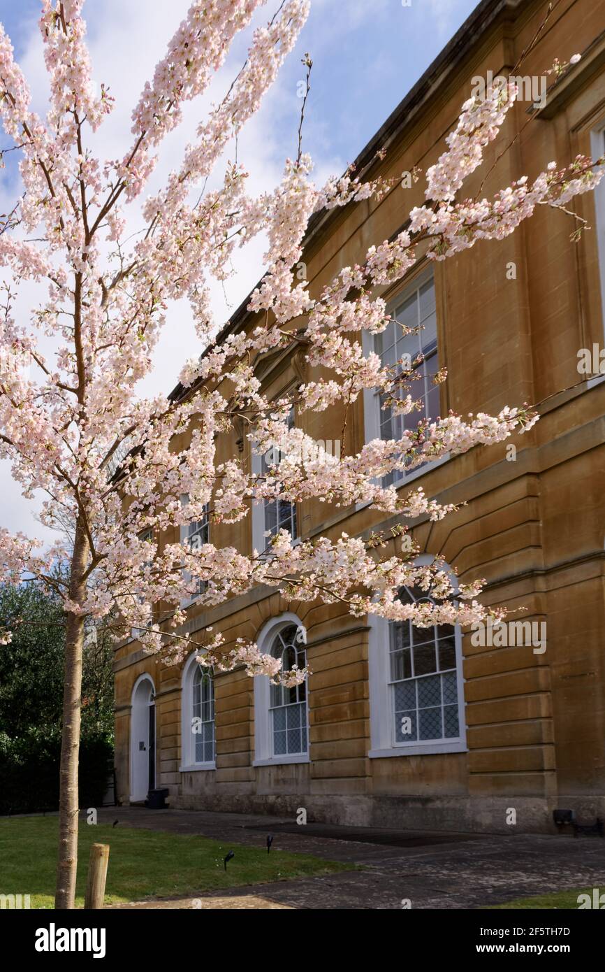 Bath in Spring Stock Photo - Alamy