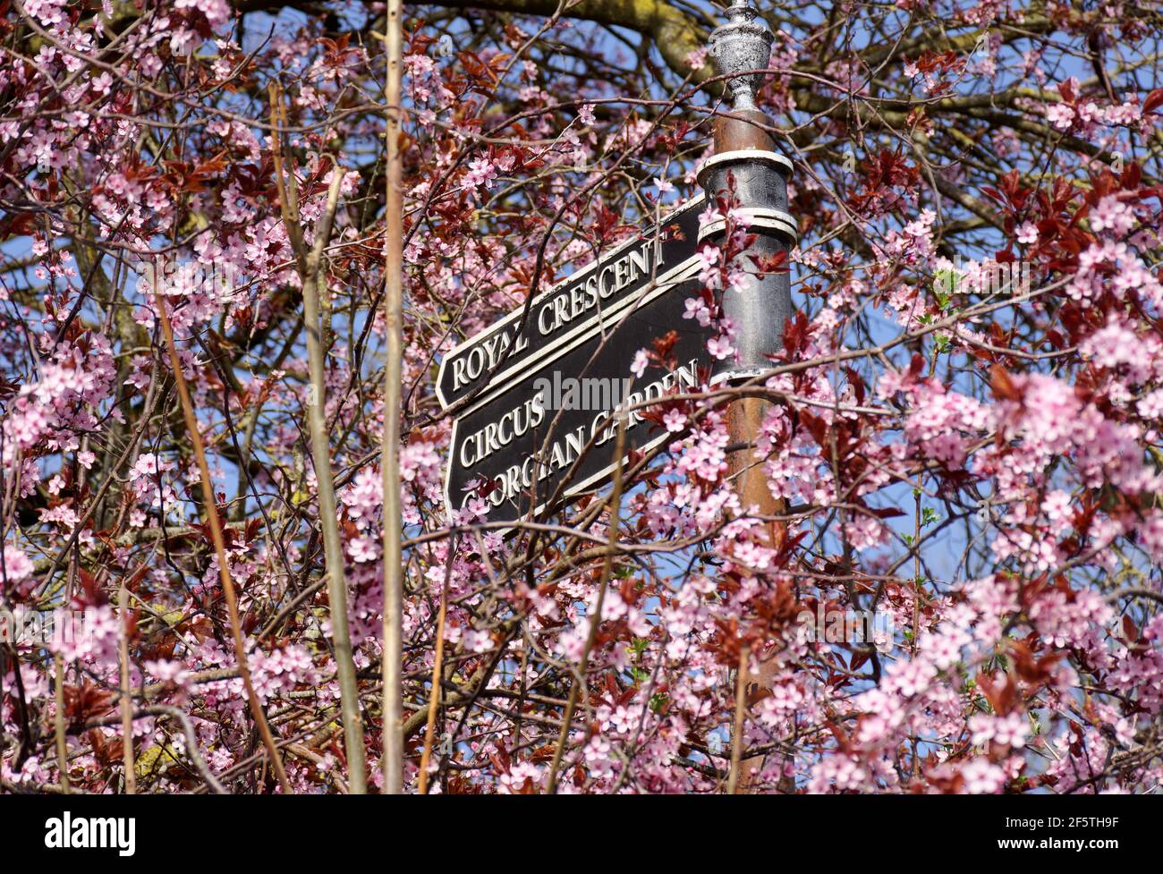 spring in Bath Stock Photo - Alamy