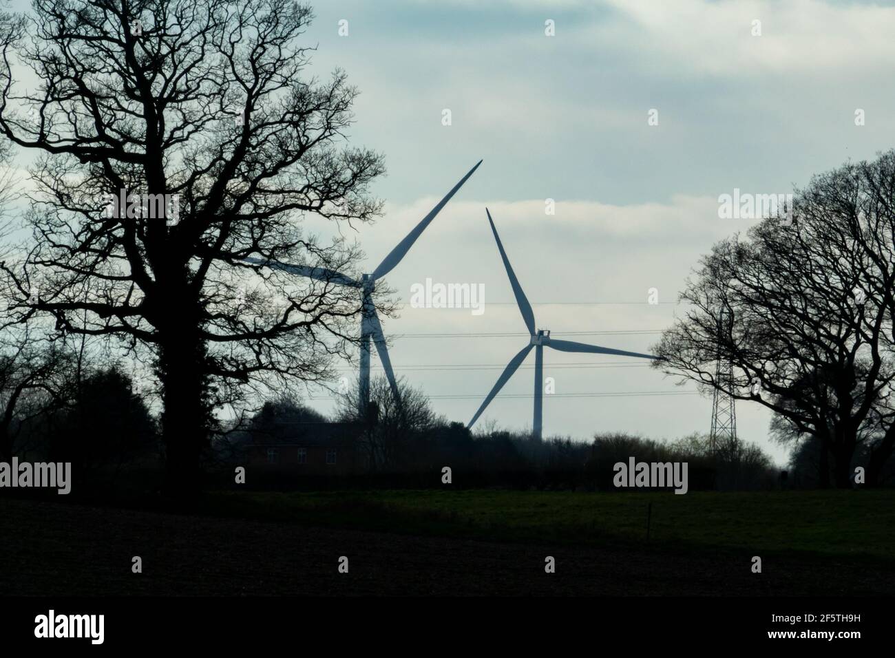Trees and wind Turbine Blades Stock Photo - Alamy