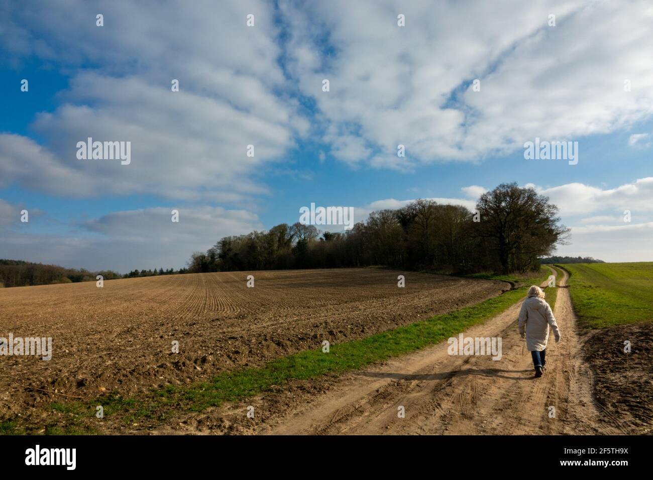 Walk farm hi-res stock photography and images - Alamy