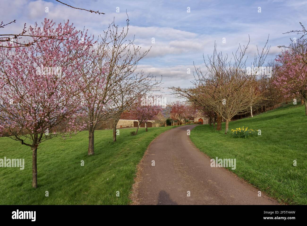 spring in Bath Stock Photo - Alamy