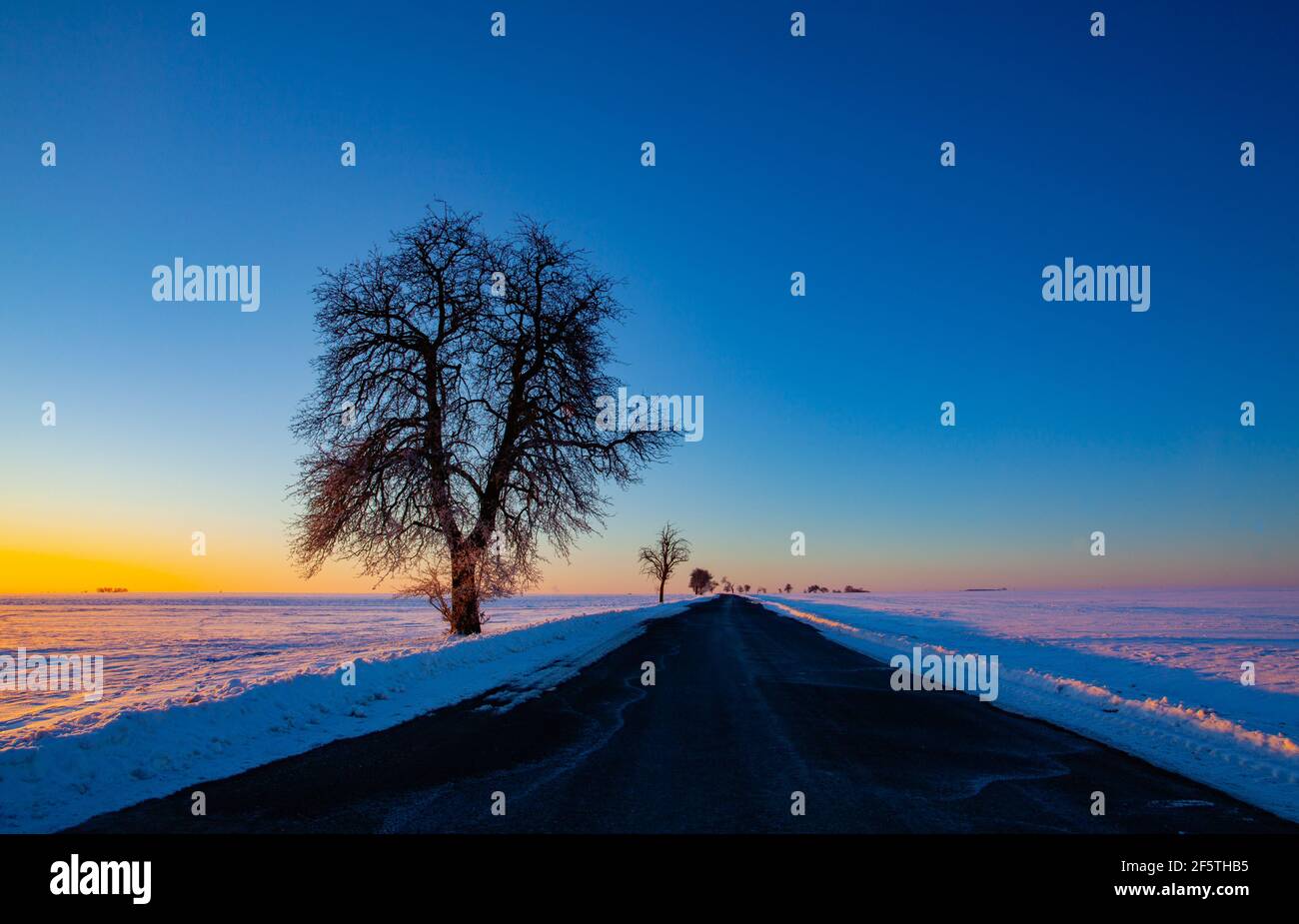 Empty road through snow-covered field after a blizzard at sunset. Clear ...