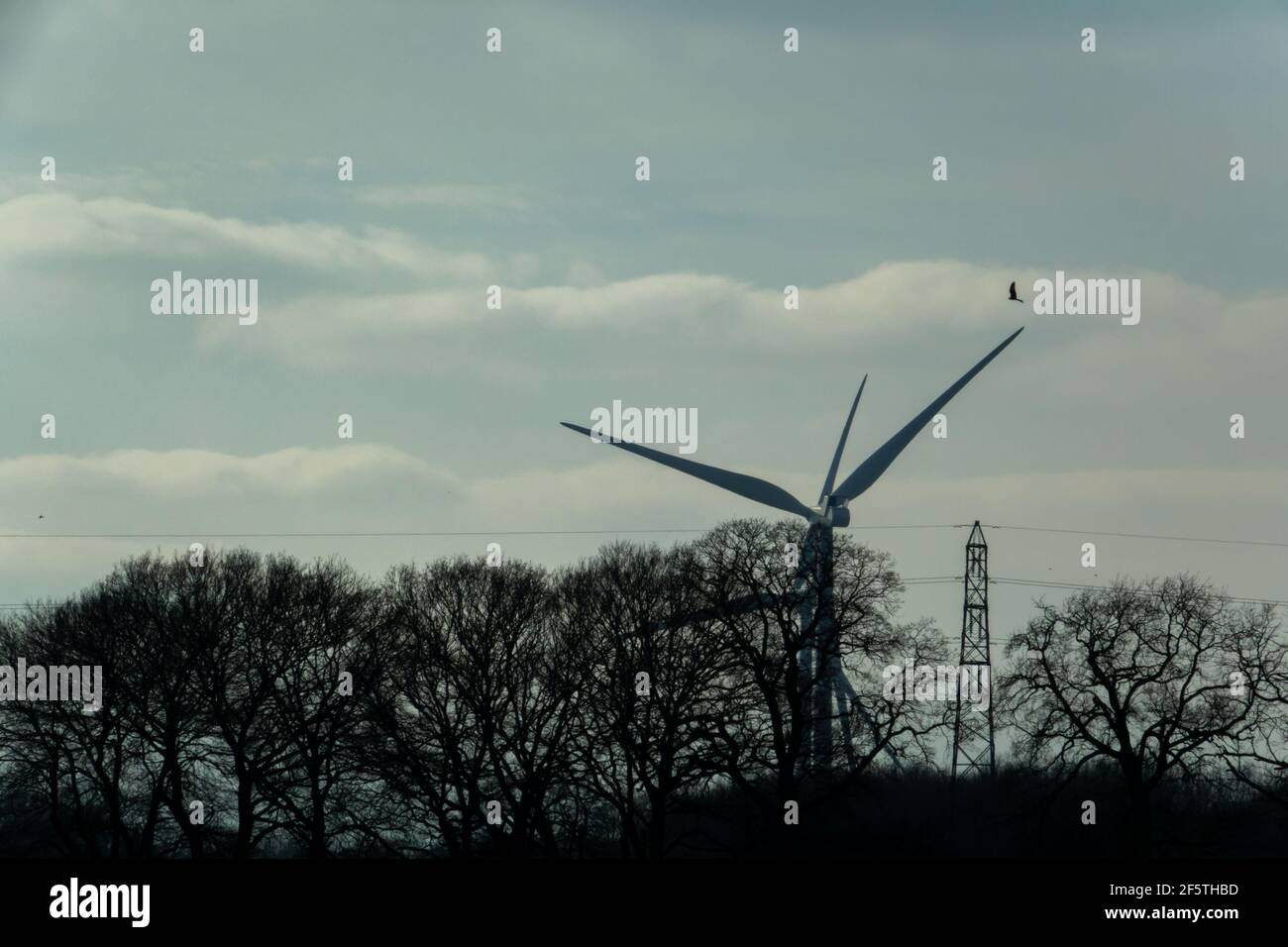 Trees and wind Turbine Blades Stock Photo - Alamy
