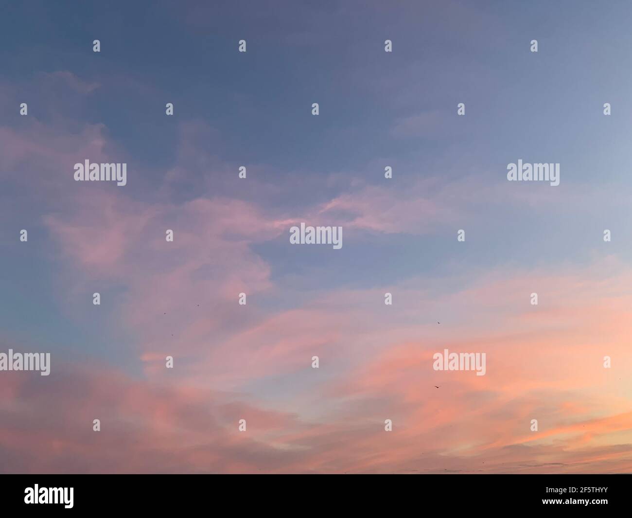 Pinky clouds on the sky. Sunrise Stock Photo - Alamy