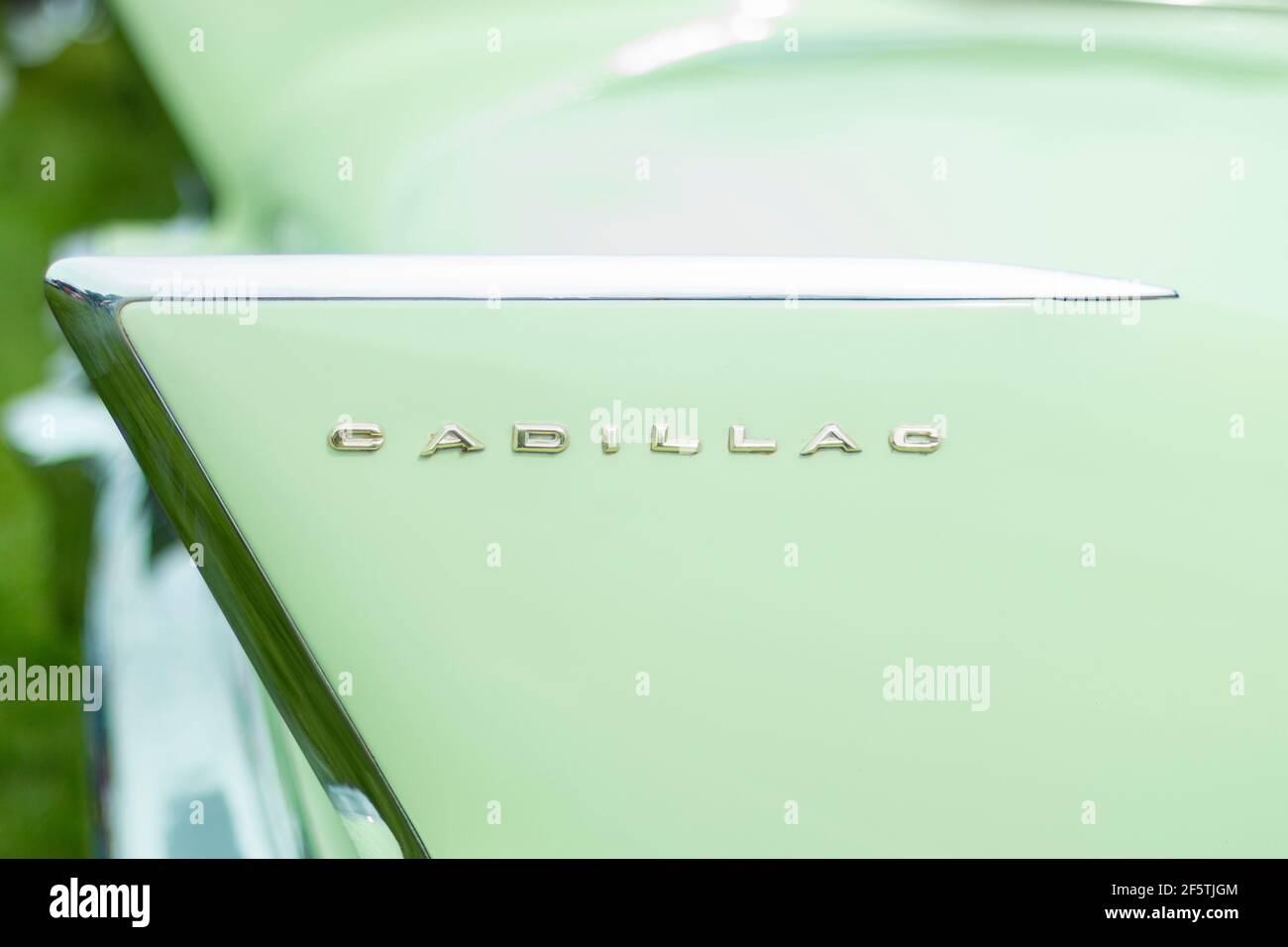 close up of Cadillac badge on rear wing of light green vintage American ...