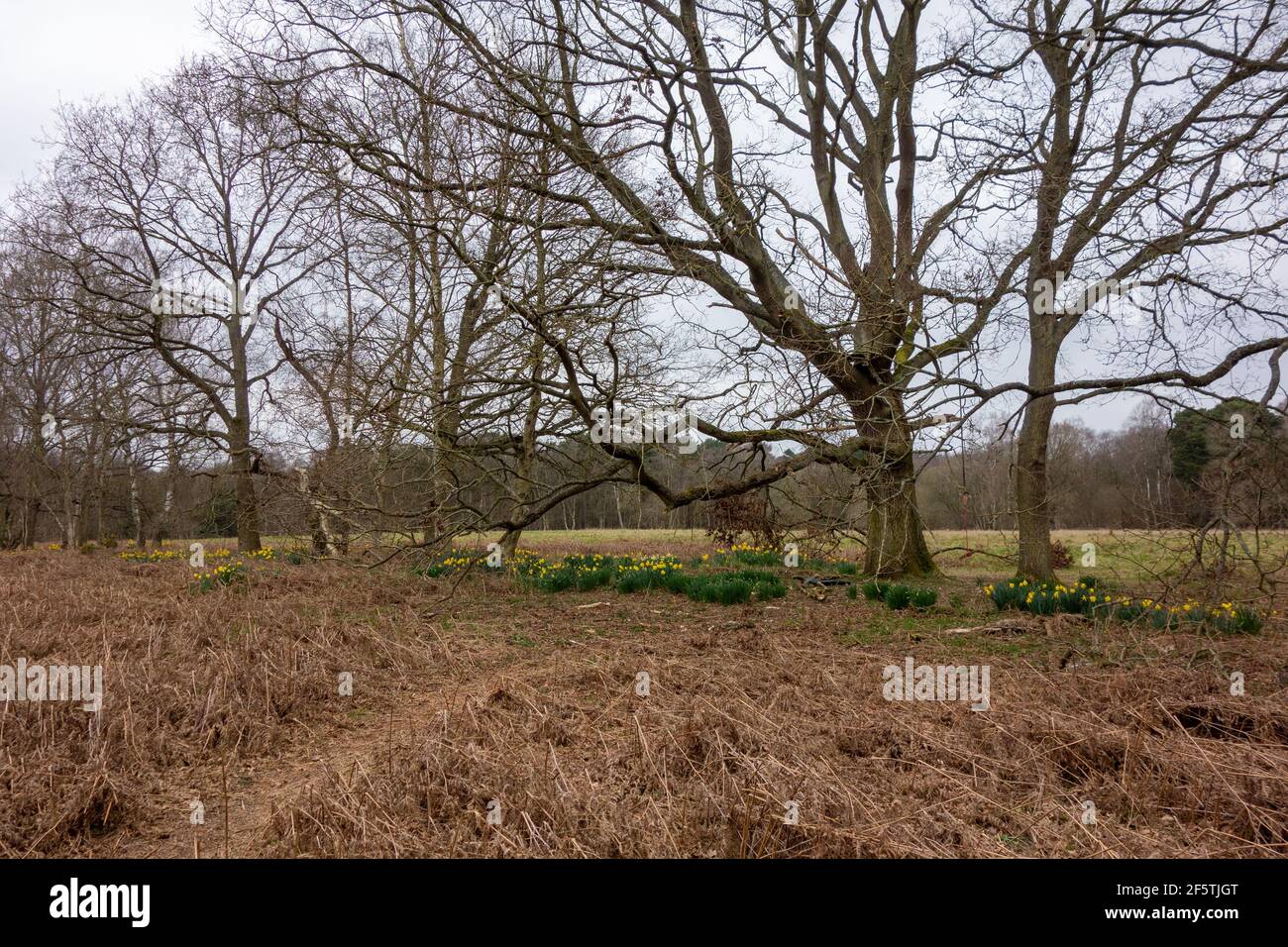 Felthorpe hi-res stock photography and images - Alamy