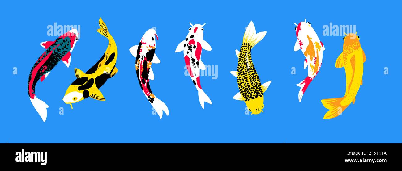 Koi collection hi-res stock photography and images - Alamy