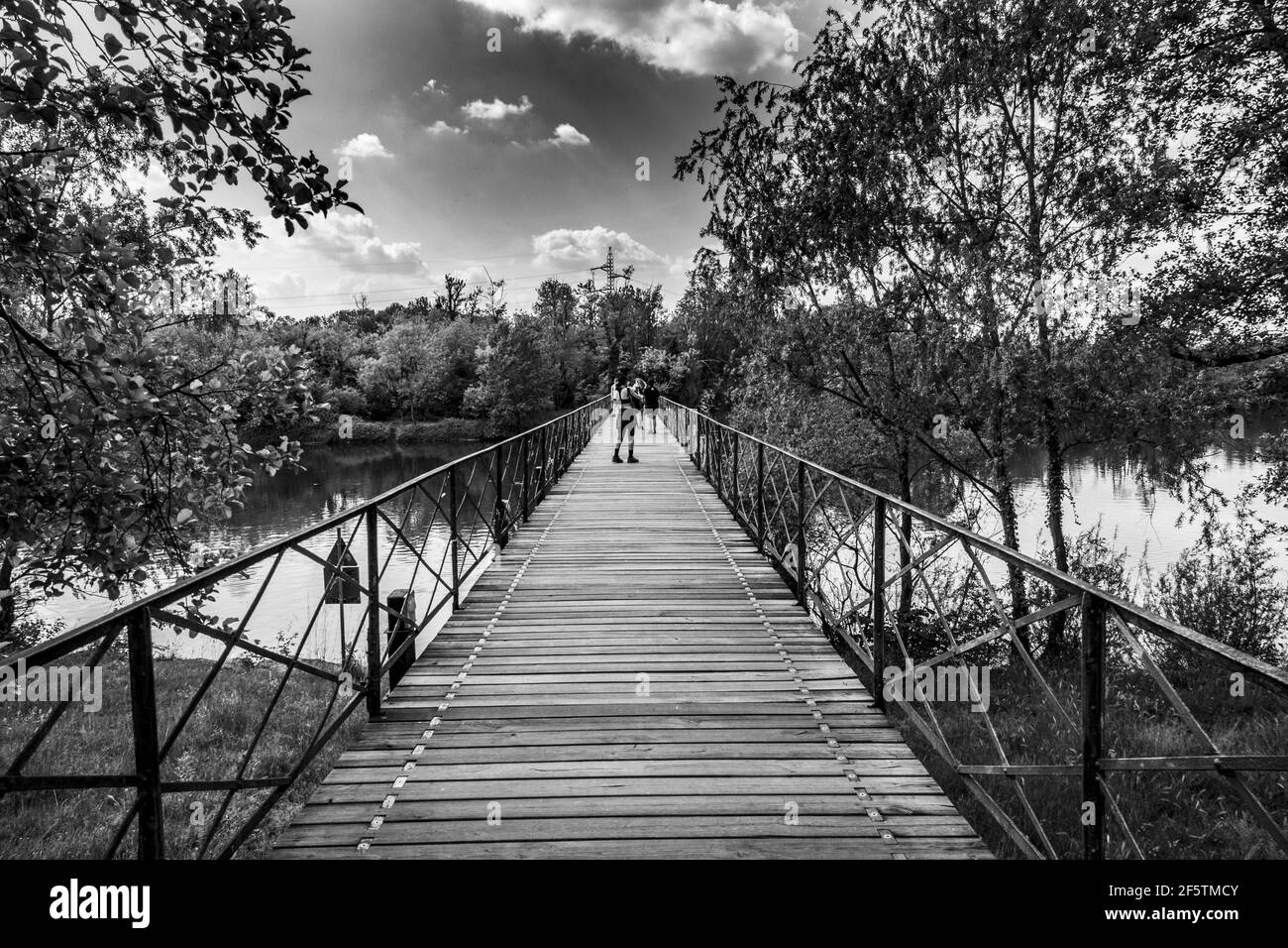 Grayscale Photography People