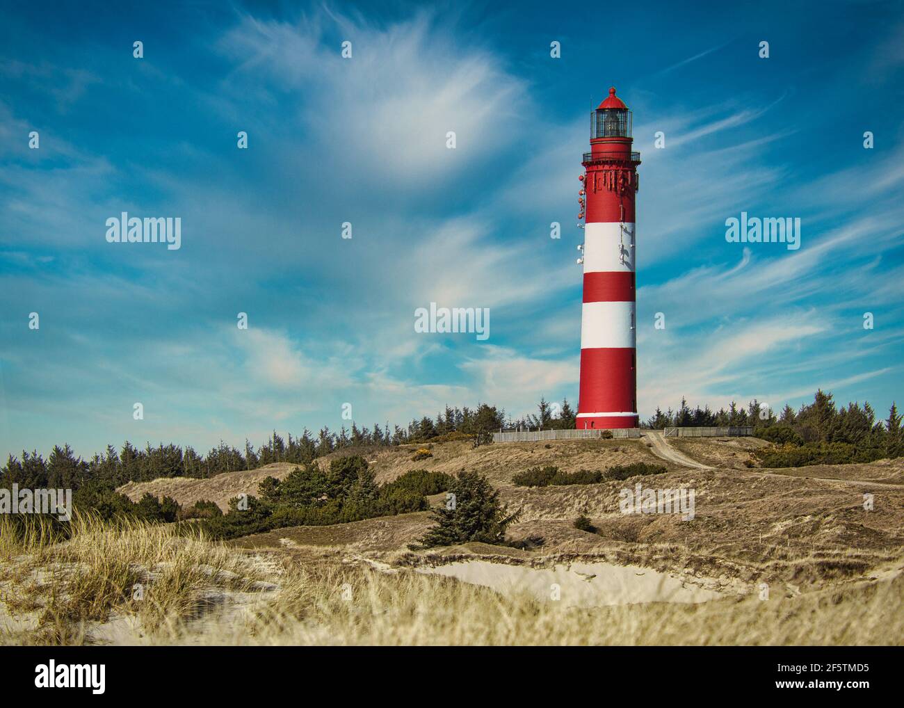 The Amrum lighthouse in Amrum Dunes nature preserve in Germany Stock ...