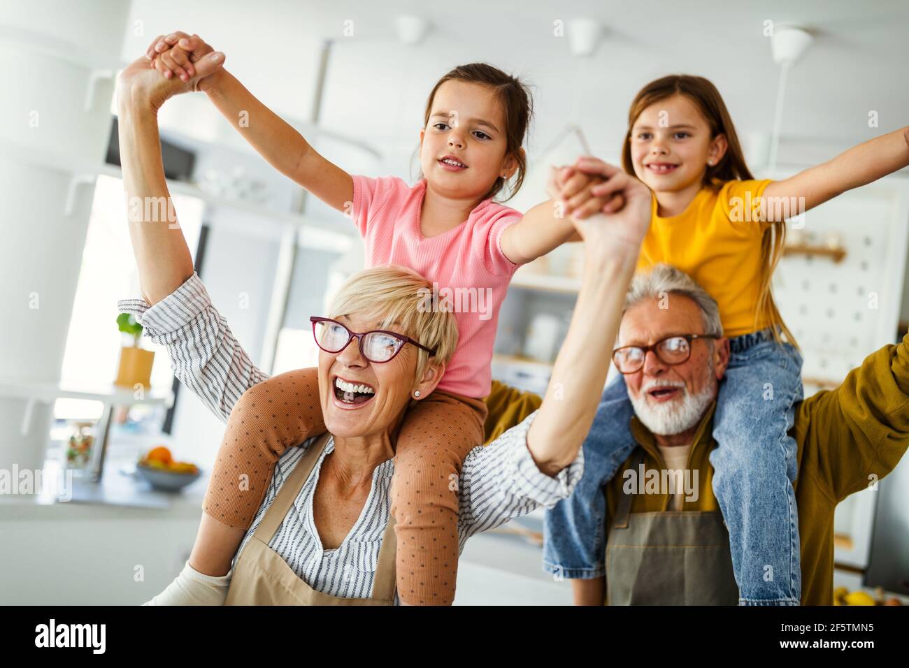Portrait of happy elderly couple and grandchildren playing together ...