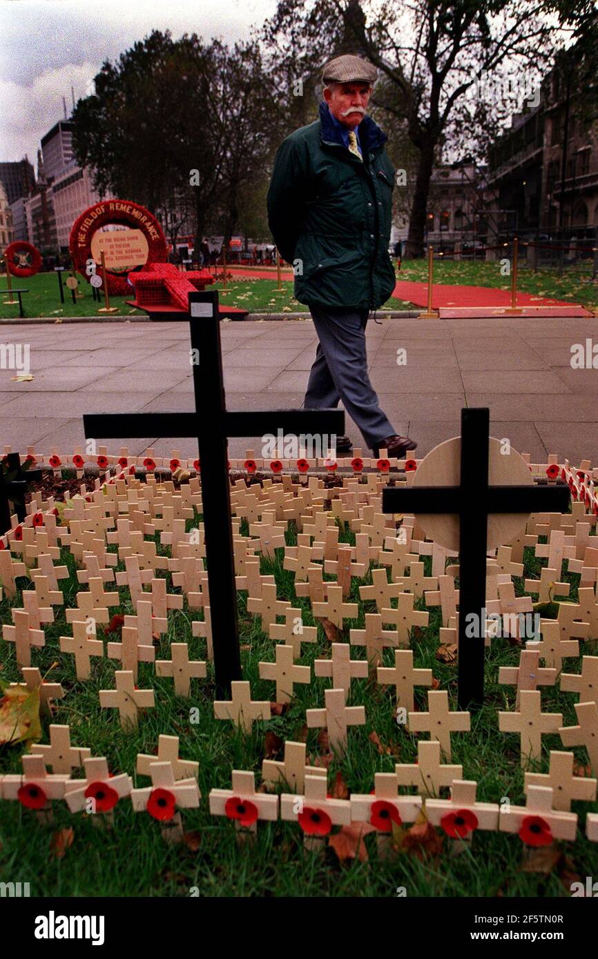 Remembrance Day poppies are pictured at Westminster Stock Photo - Alamy