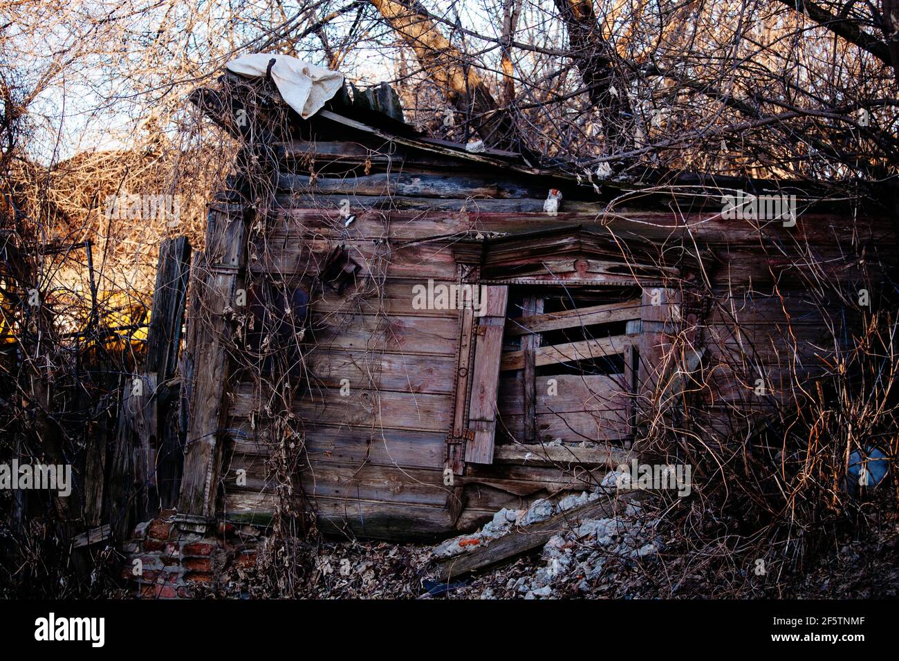 Russia abandoned cottage forest hi-res stock photography and images - Alamy
