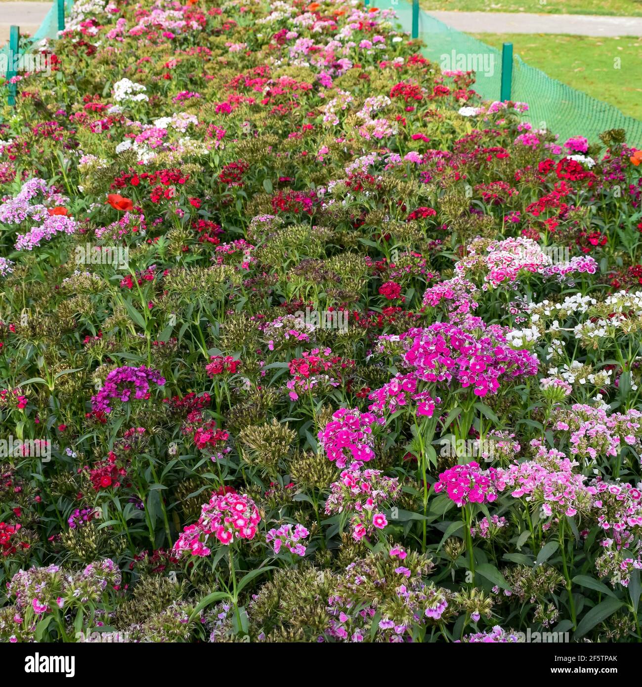 Sunder Nursery is a 16th century heritage park complex situated near ...