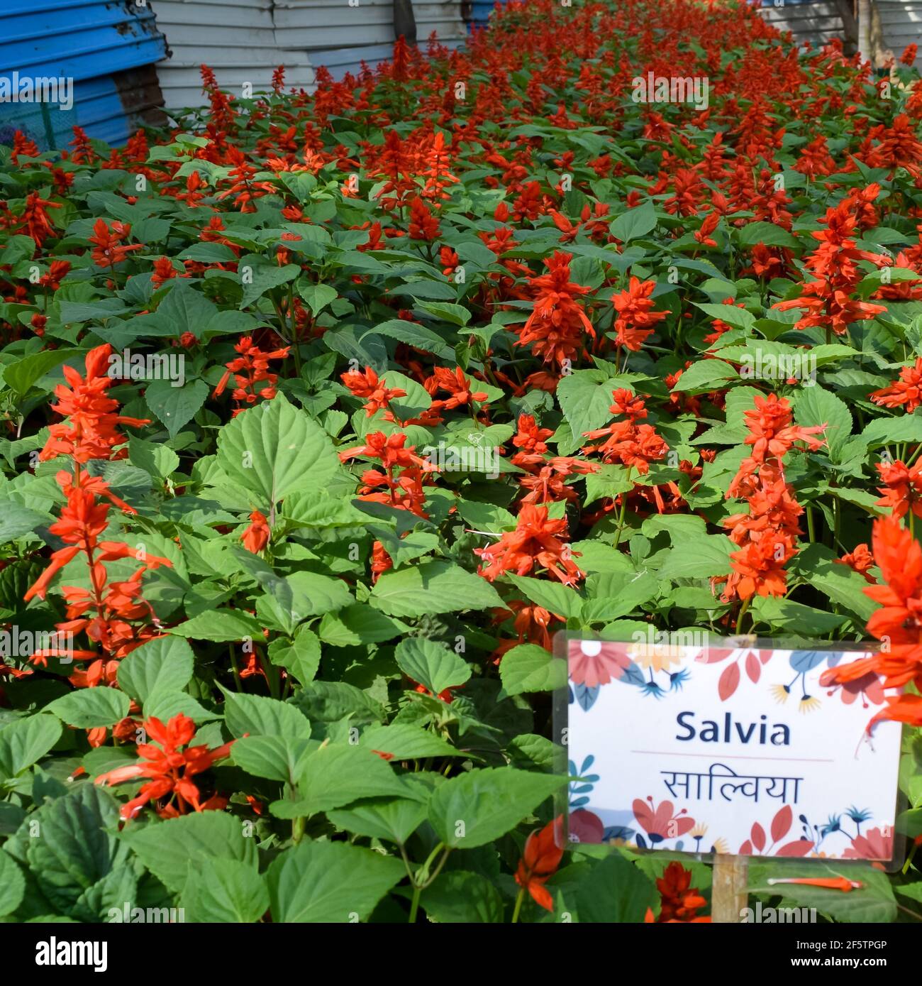 Sunder Nursery is a 16th century heritage park complex situated near ...