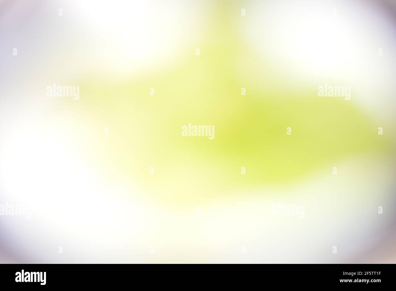 gradient green background for wallpapers and graphic designs, blurred ...