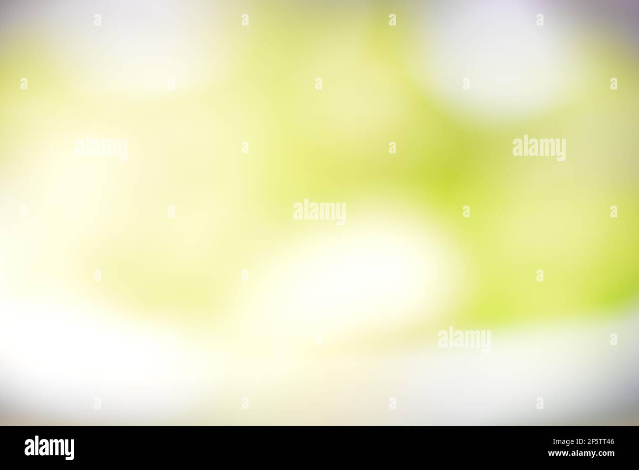 gradient green background for wallpapers and graphic designs, blurred ...