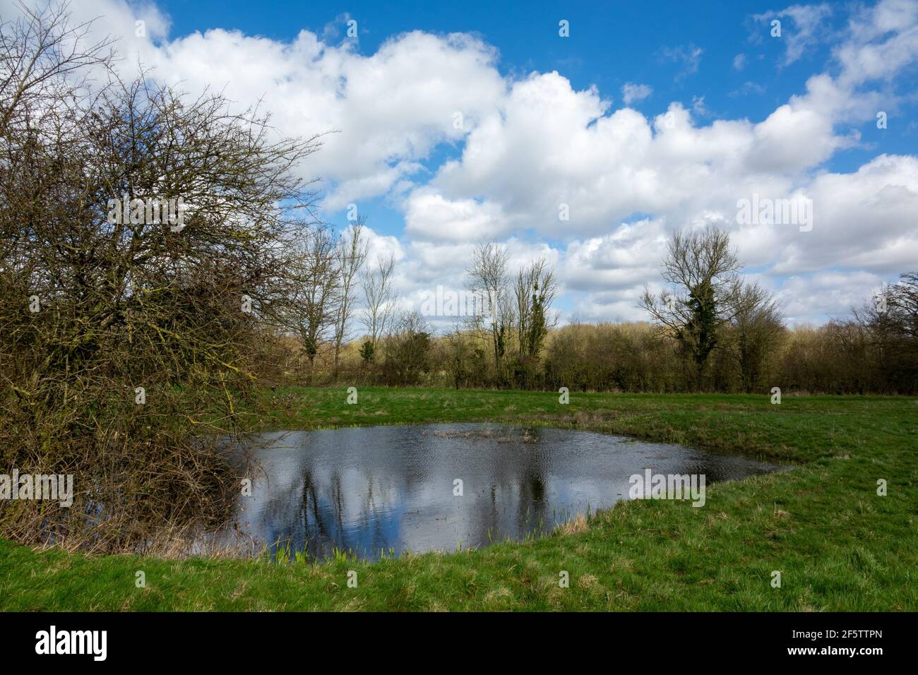 Pond farm norfolk hi-res stock photography and images - Alamy
