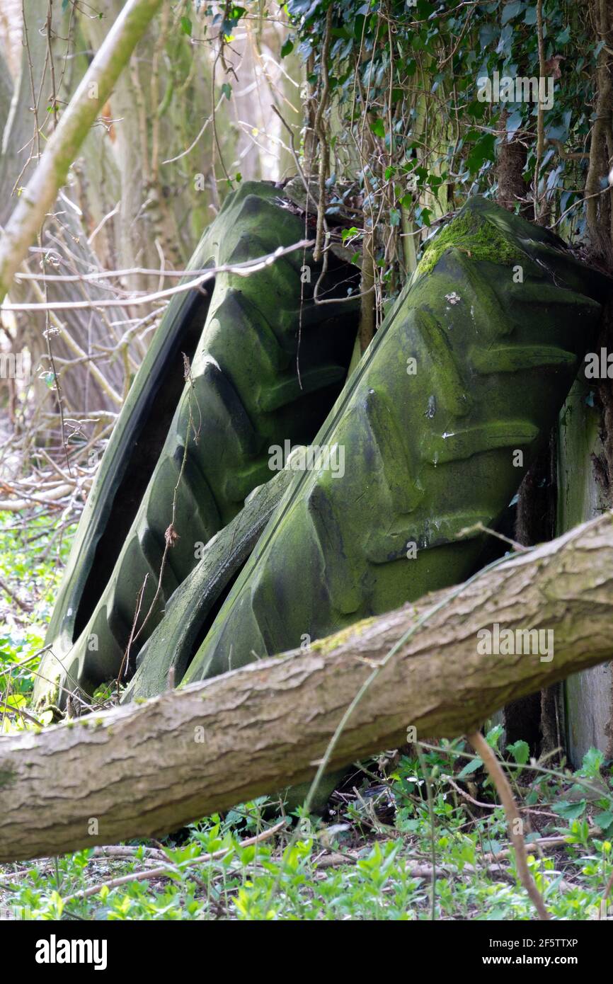 Old tractor tyre in wood hi-res stock photography and images - Alamy