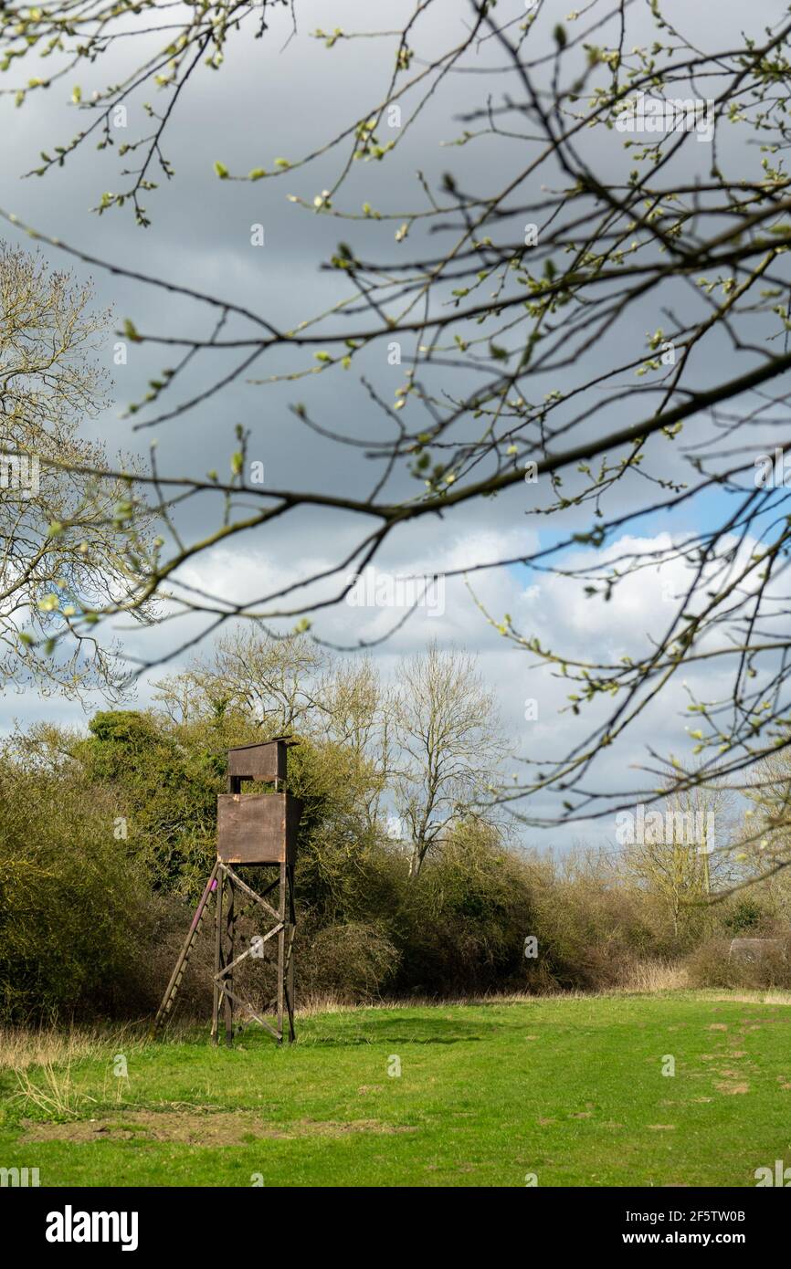 wooden tower for shooting Stock Photo - Alamy